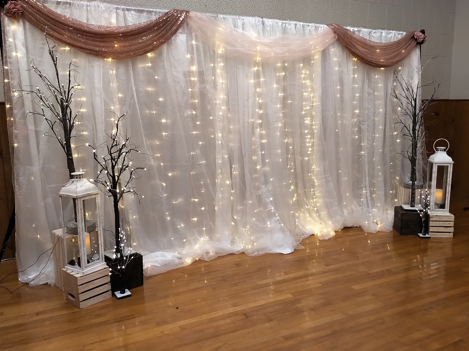 Backdrops – Birchark and Pine